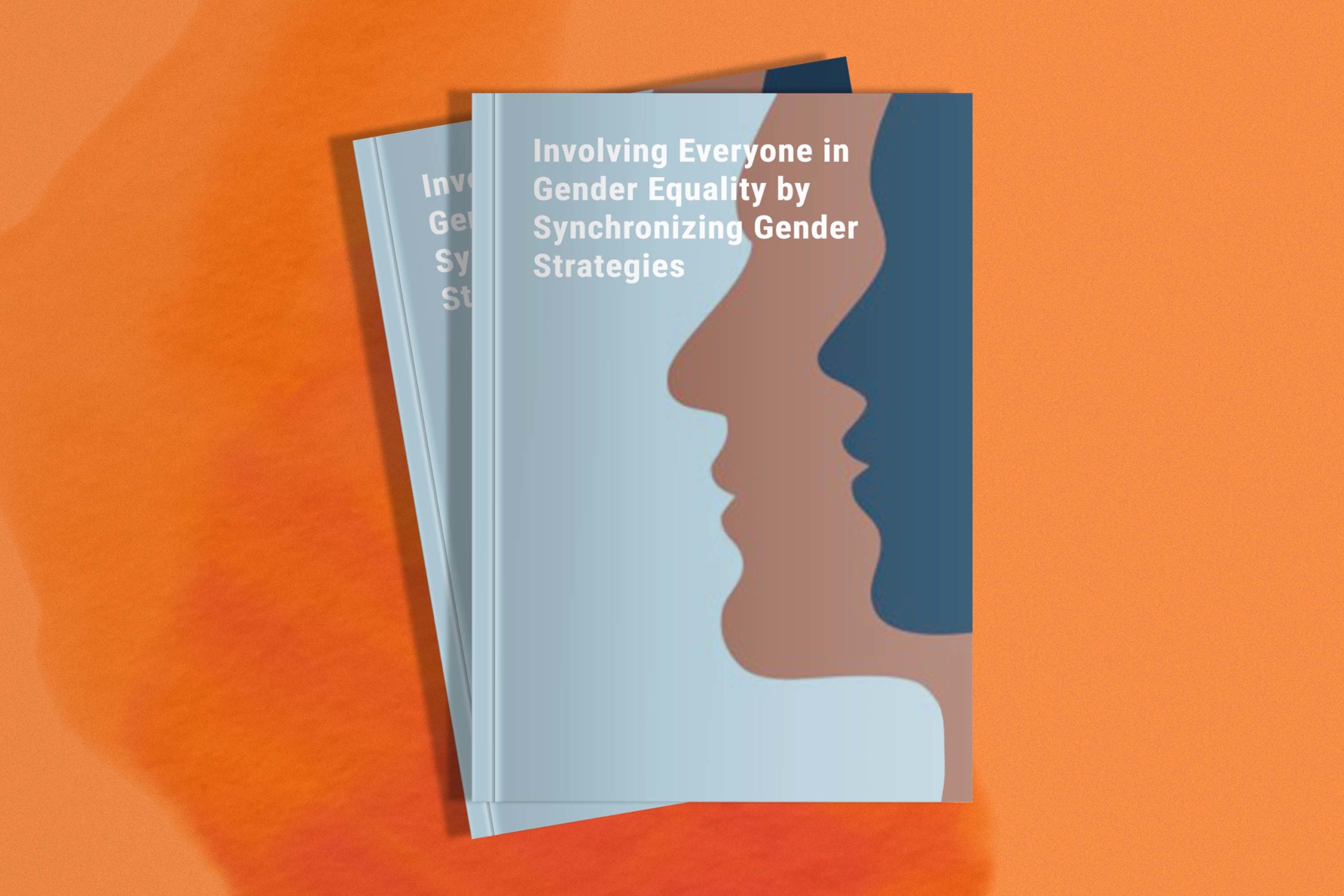 Involving Everyone in Gender Equality by Synchronising Gender ...