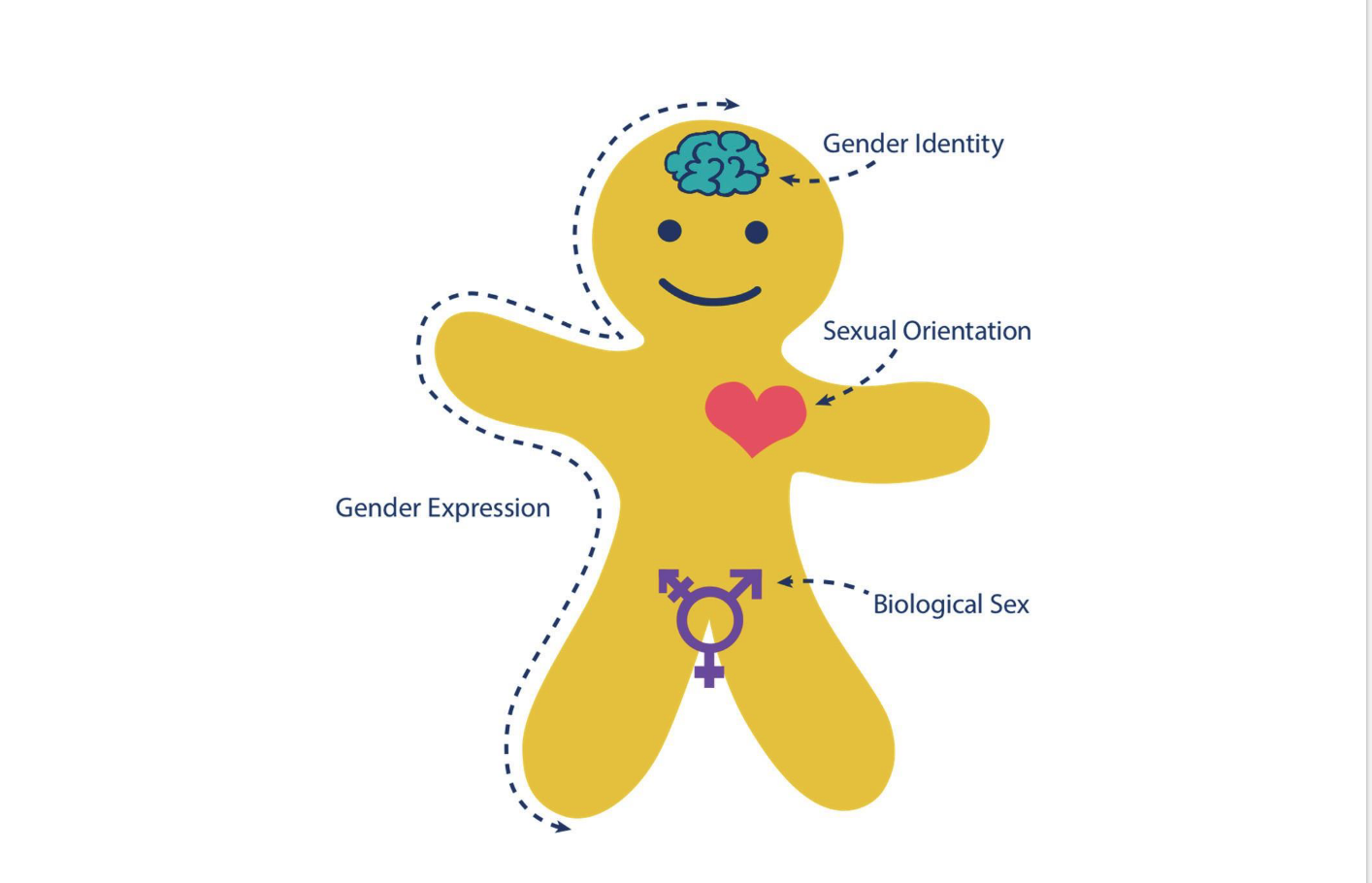 Prevention Collaborative - Gender 101 | Facilitator guide for virtual ...
